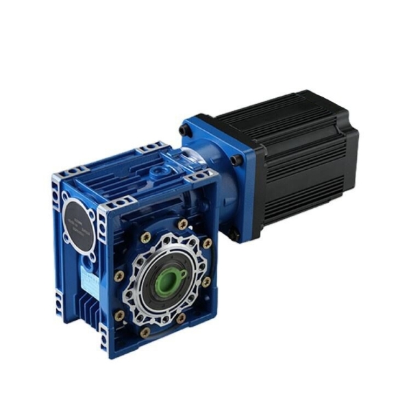 12V/24V/36V/48V 100W BLDC Worm Gear Motor | BLDC.com